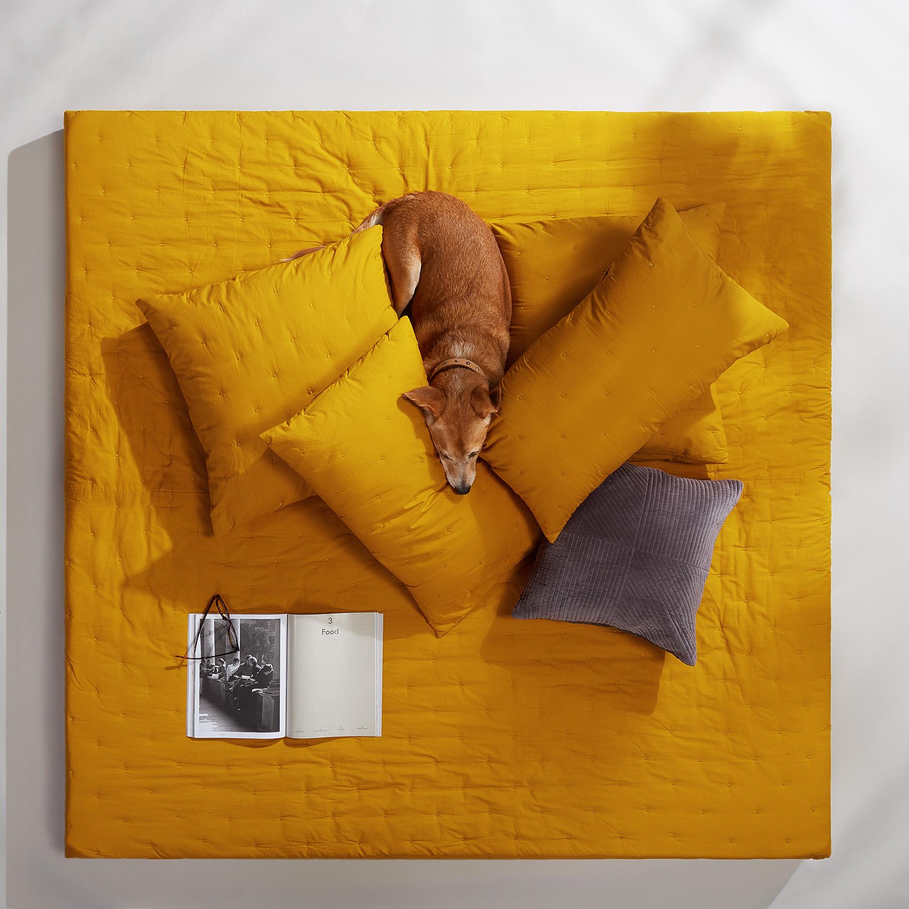 Mustard Embroidered Bedcover | Buy Yellow Bed Covers Online